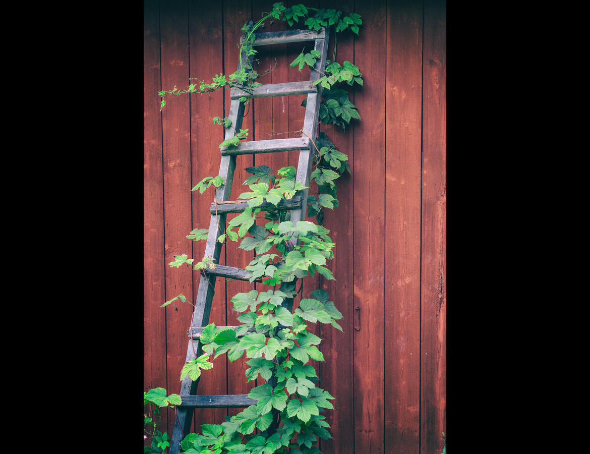 Ladder of engagement — Beautiful Trouble