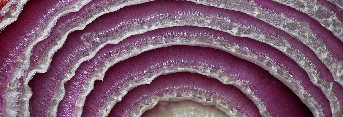 Peel the onion — Beautiful Trouble