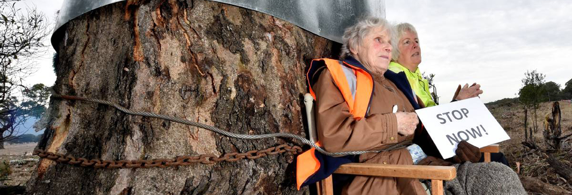 Points of intervention — Beautiful Trouble