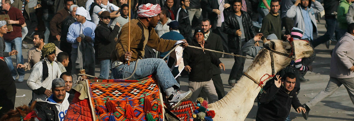 Battle of the Camel — Beautiful Trouble